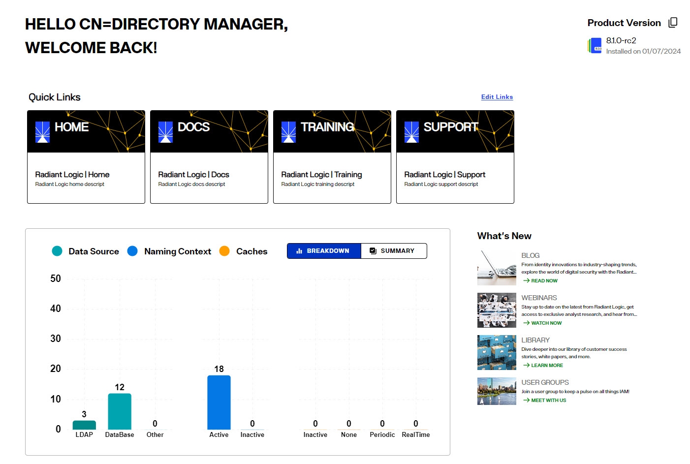 Introduction to the Control Panels | Radiant Logic Documentation